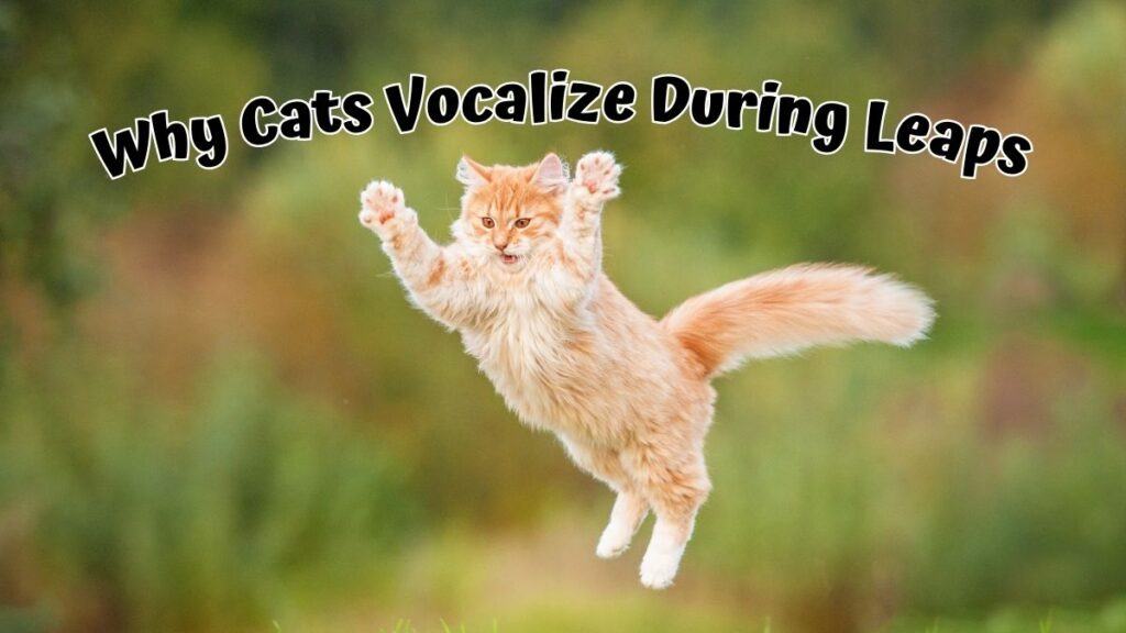 Decoding the Secrets of Feline Acrobatics: Why Cats Vocalize During Leaps