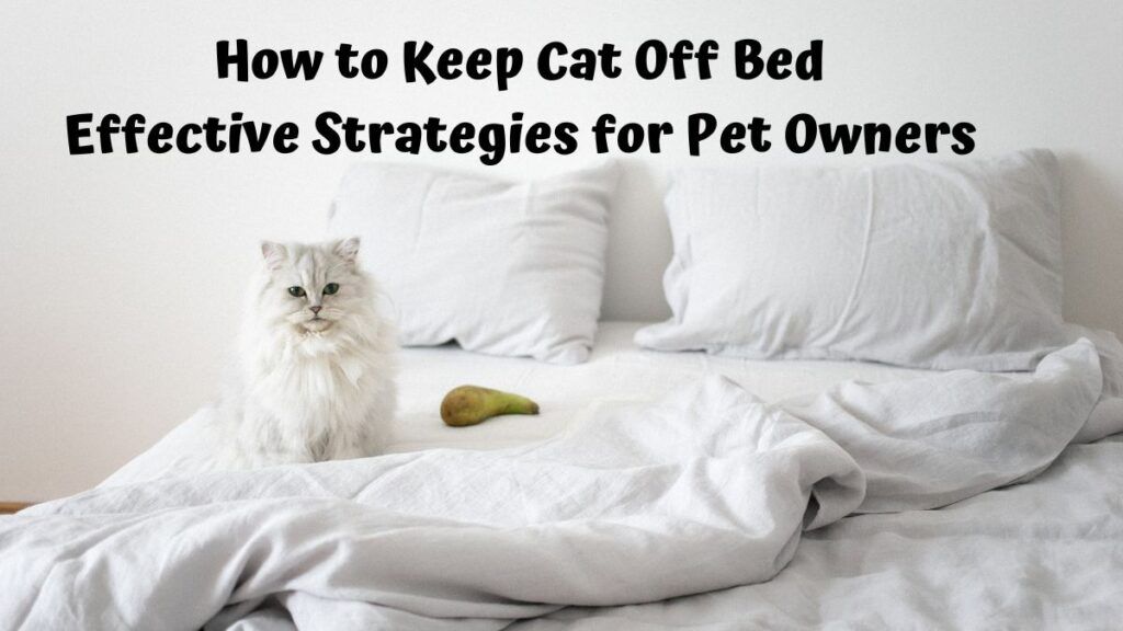 How to Keep Cat Off Bed: Effective Strategies for Pet Owners